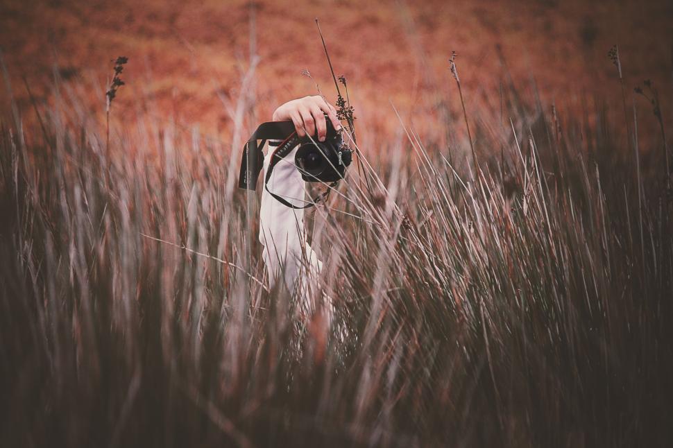 Free Stock Photo of Person Standing in Tall Grass Field | Download Free ...