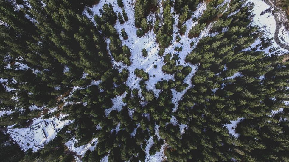 Free Stock Photo of Aerial View of Snow Covered Forest | Download Free ...