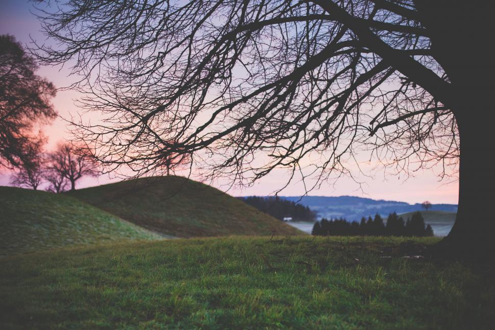 Free Stock Photo of Nature mound knoll landscape tent tree shelter ...