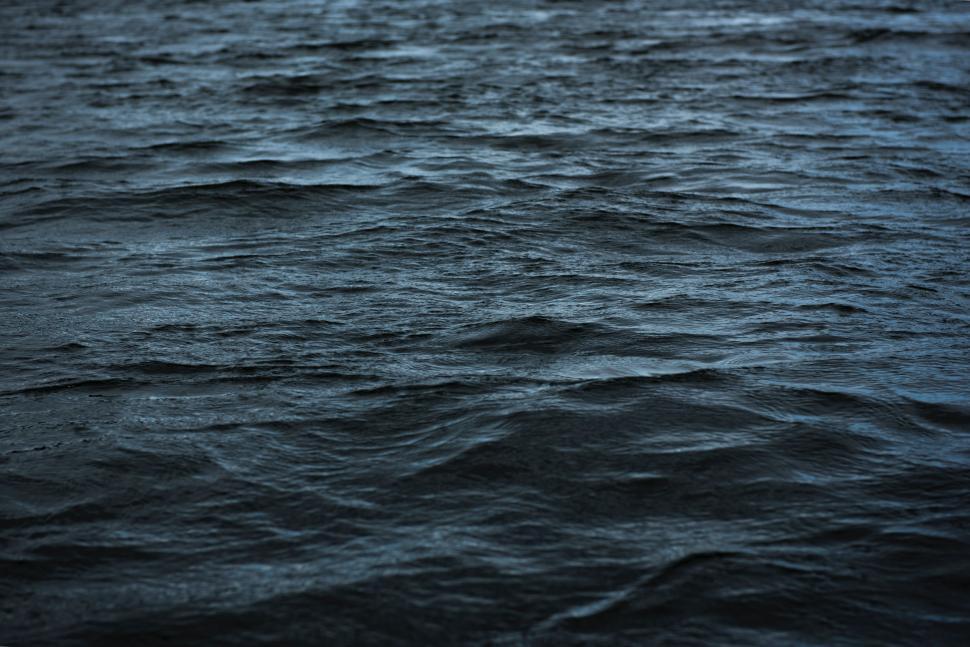 Free Stock Photo of Dark Waters Reflecting Natures Shadow | Download ...