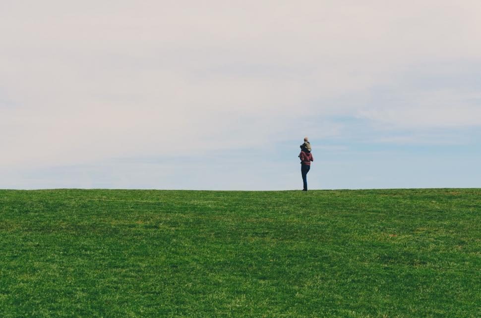Free Stock Photo of Lone Tree Standing in Grass Field | Download Free ...