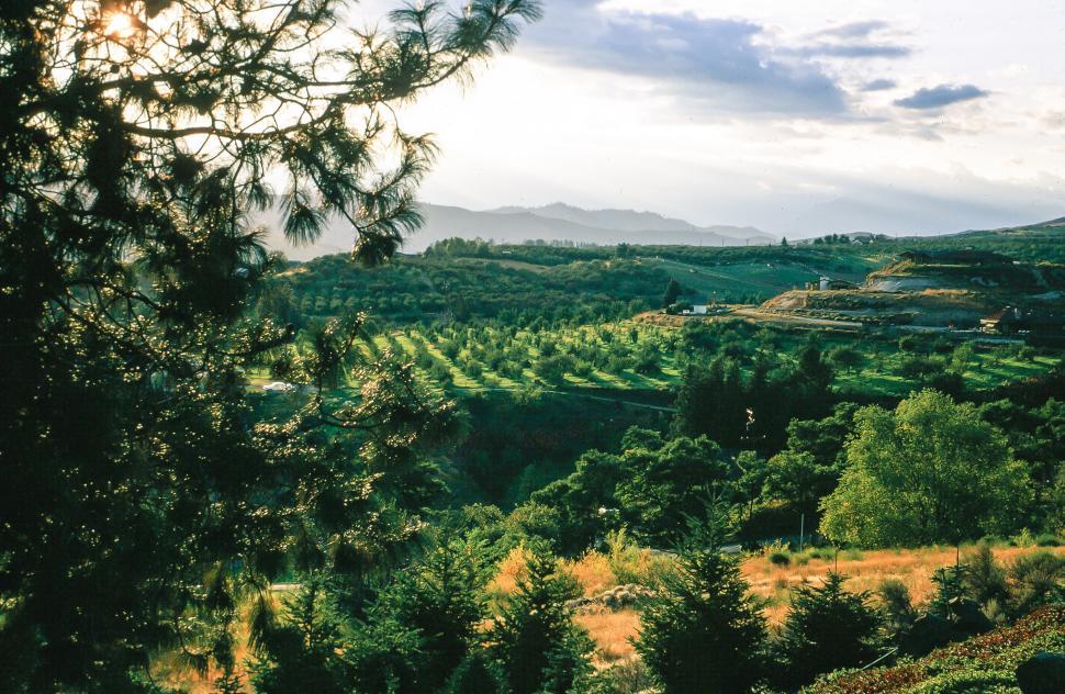 Free Stock Photo of Farmland | Download Free Images and Free Illustrations