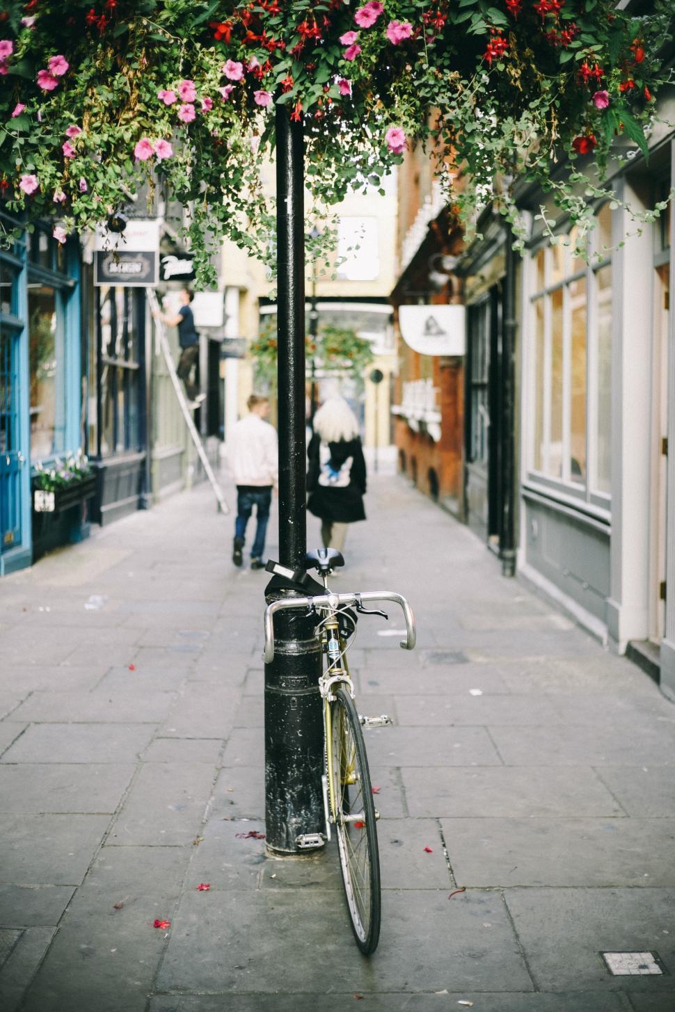 Free Stock Photo of Bicycle Parked on Side of Street | Download Free ...