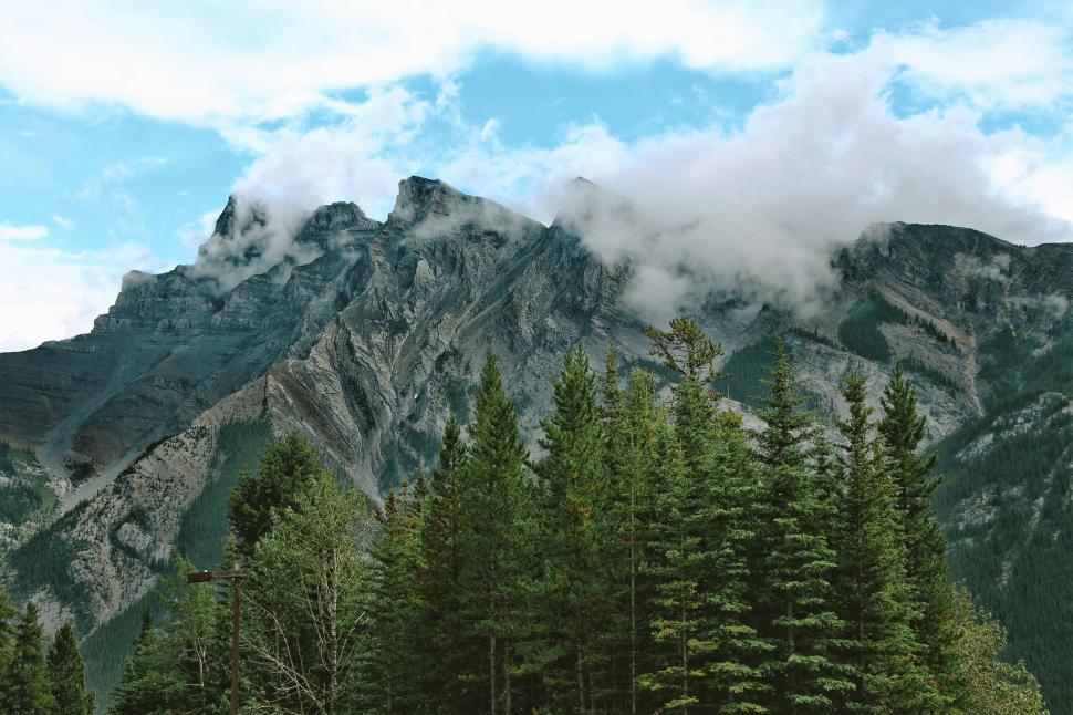 Free Stock Photo of Mountain Range With Trees in Foreground | Download ...
