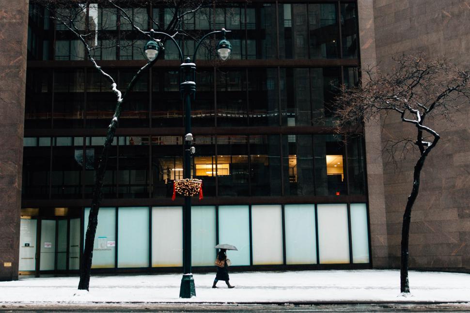 Free Stock Photo of Person Walking Down Street in Front of Tall ...