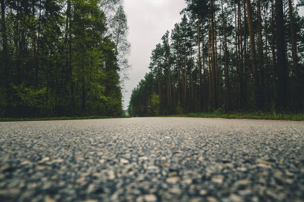 Free Stock Photo of Empty Road Running Through Forest | Download Free ...