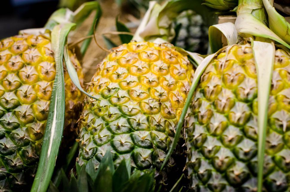 Free Stock Photo of Three Pineapple | Download Free Images and Free ...