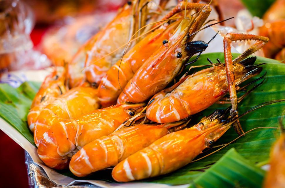Free Stock Photo of Shrimp | Download Free Images and Free Illustrations