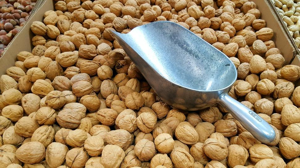 Free Stock Photo of Walnuts In Shells | Download Free Images and Free ...