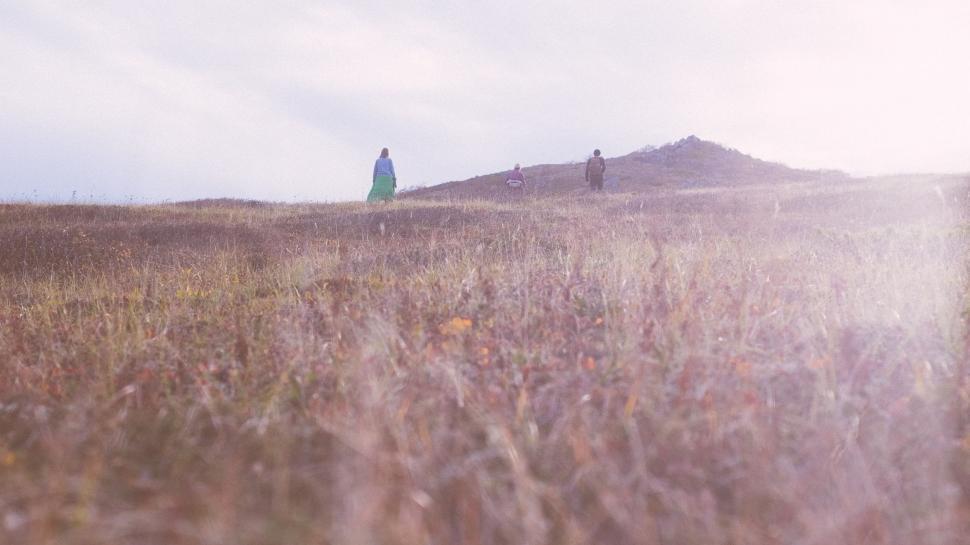 Free Stock Photo of Person Standing in a Field of Tall Grass | Download ...