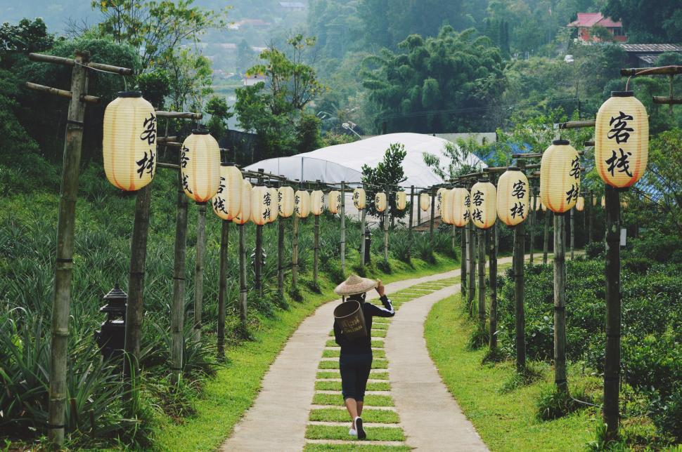 Free Stock Photo of Person Walking Down Path With Umbrella | Download ...