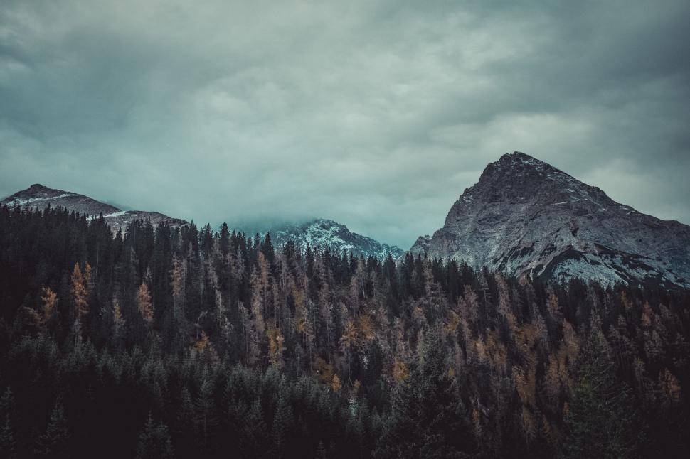 Free Stock Photo of Mountain Covered in Trees Under Cloudy Sky ...