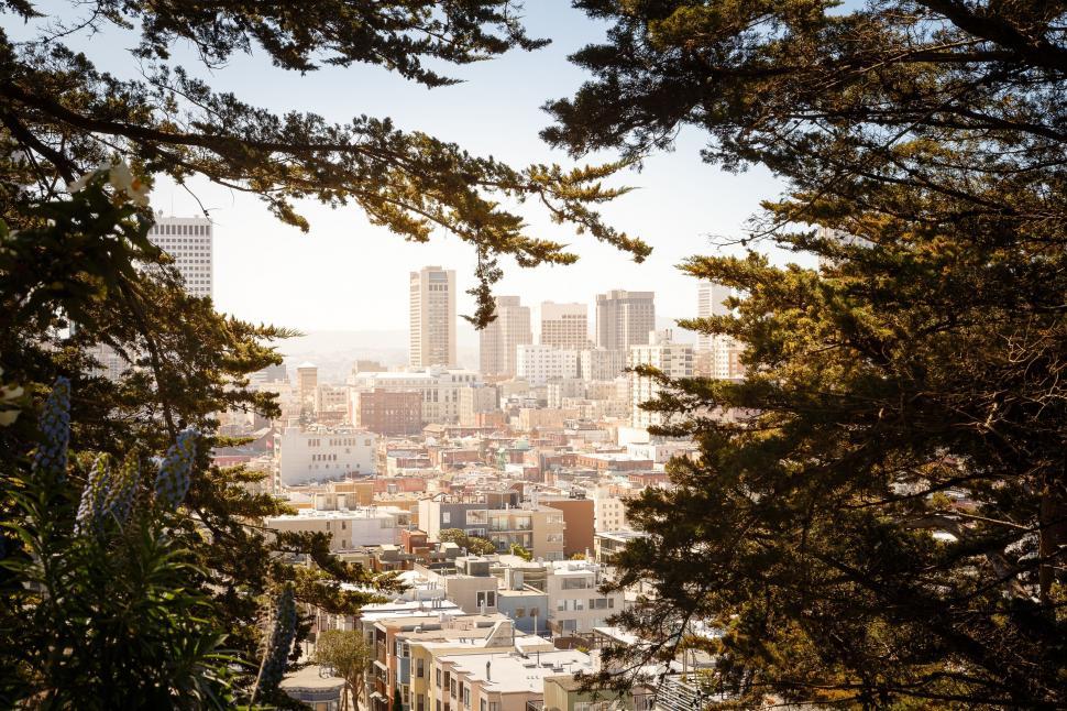 Free Stock Photo of Cityscape View Through Trees | Download Free Images ...