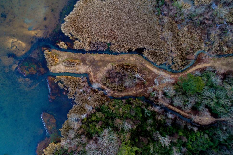 Free Stock Photo of Aerial View of Body of Water Surrounded by Trees ...