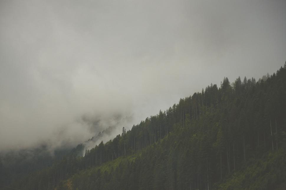 Free Stock Photo of Foggy Mountain Landscape | Download Free Images and ...