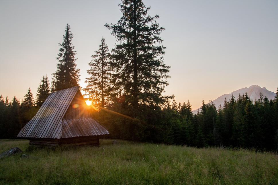 Free Stock Photo of Wooden Structure in Field With Trees | Download ...