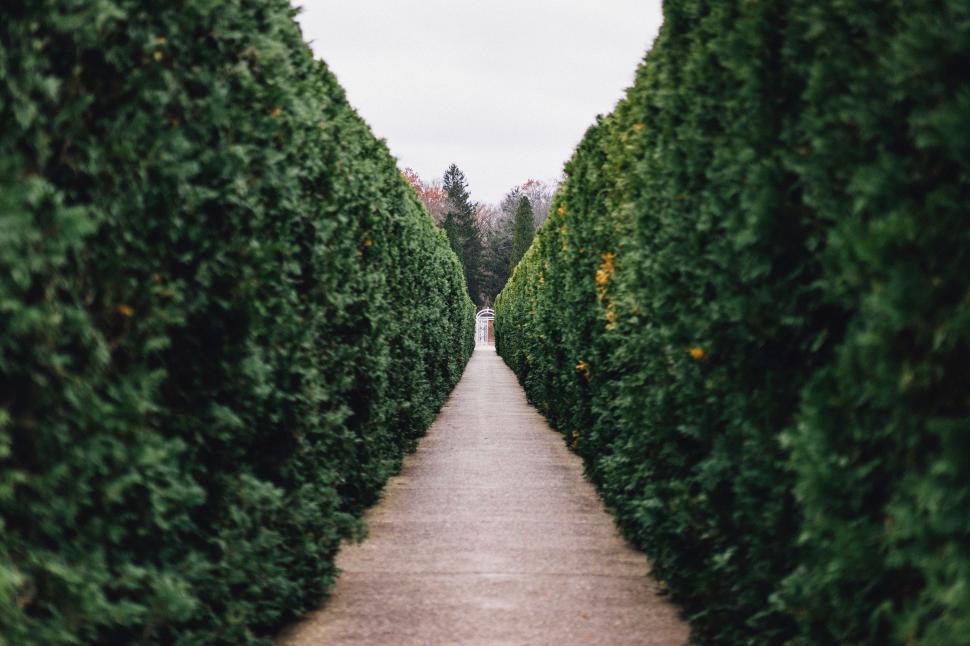 Free Stock Photo of Serpentine Tree-Lined Path in Park | Download Free ...