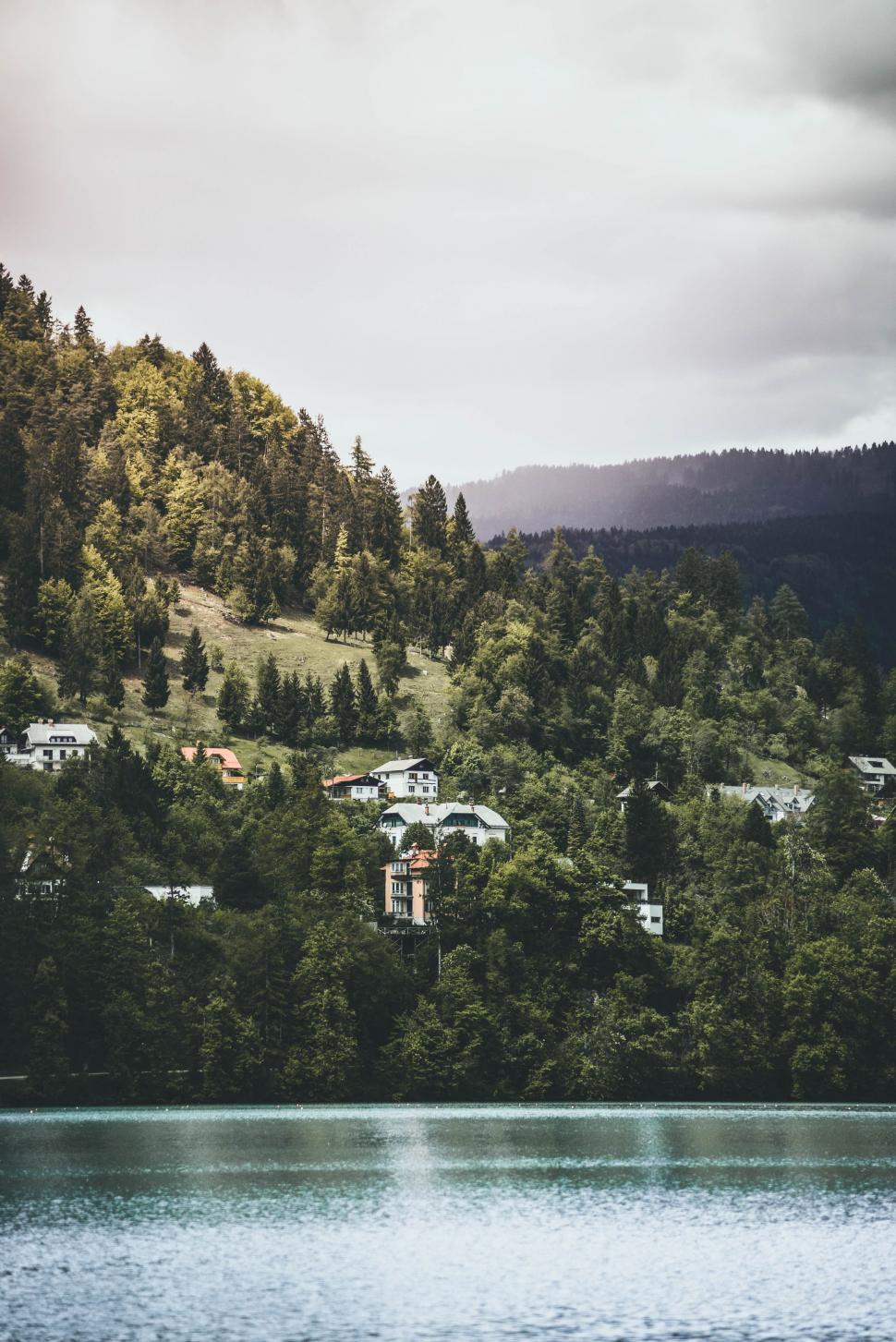 Free Stock Photo of Lake Surrounded by Trees and Houses | Download Free ...
