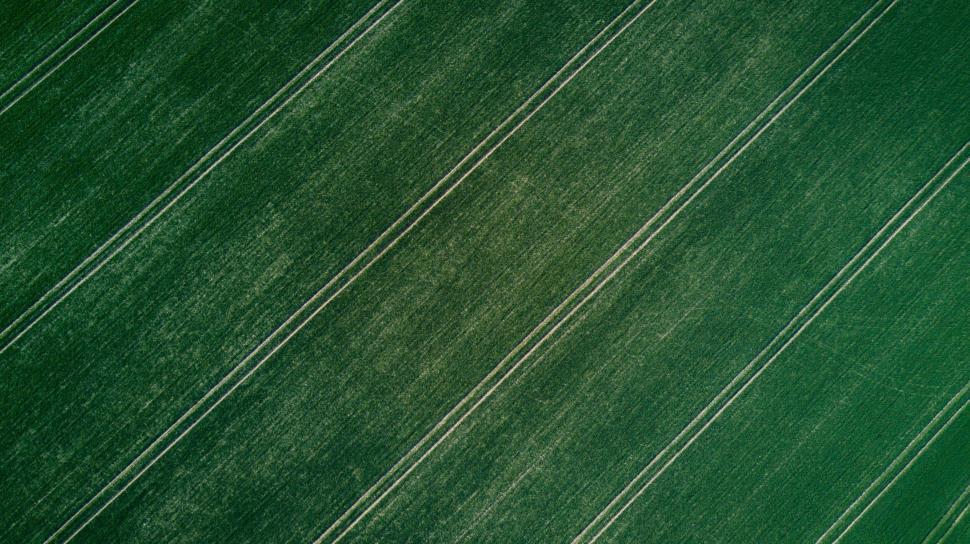 Free Stock Photo of Green Field With Lines | Download Free Images and ...