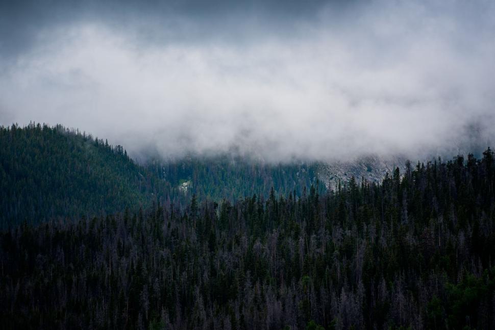 Free Stock Photo of Mountain Covered in Trees Under Cloudy Sky ...