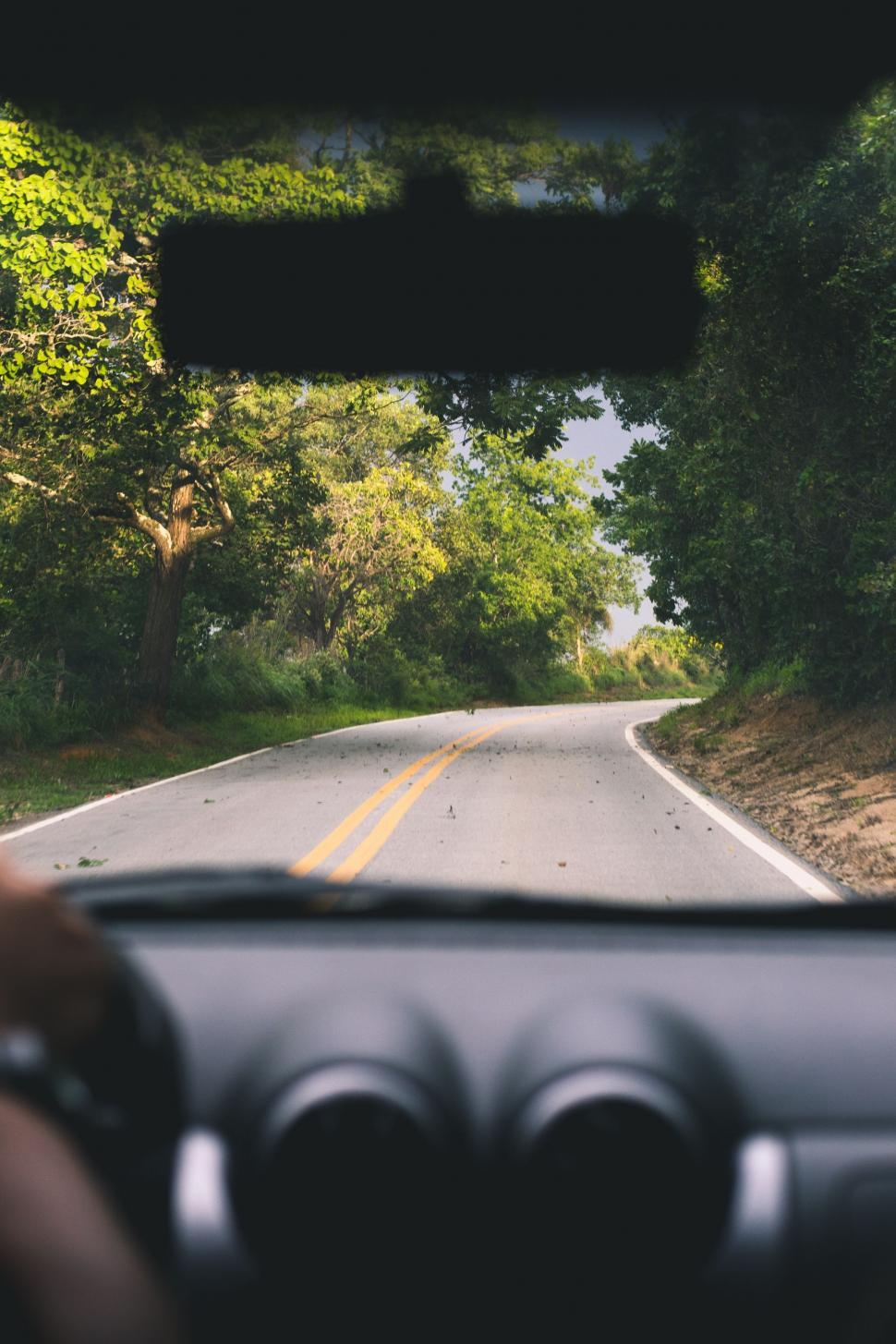 Free Stock Photo of Person Driving Car Along Forest Road | Download ...