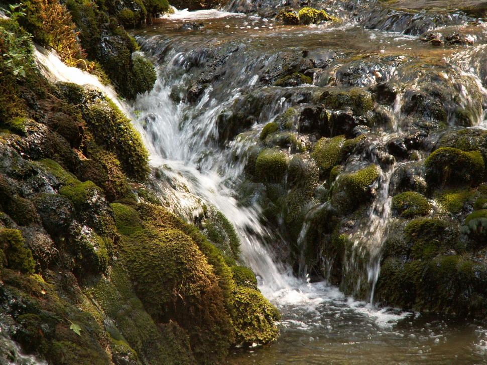 Free Stock Photo of stream | Download Free Images and Free Illustrations