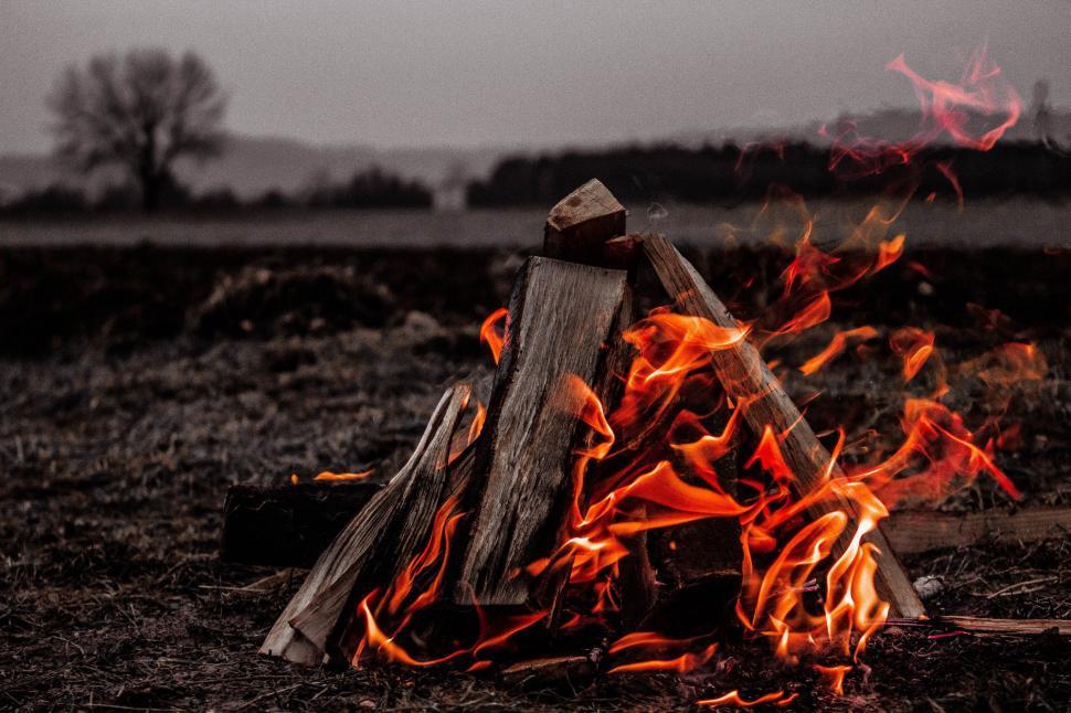 Free Stock Photo of Fire Burning in Field | Download Free Images and ...