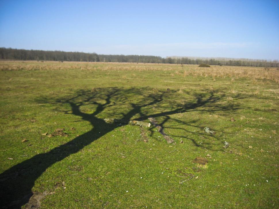 Free Stock Photo of green meadow | Download Free Images and Free ...