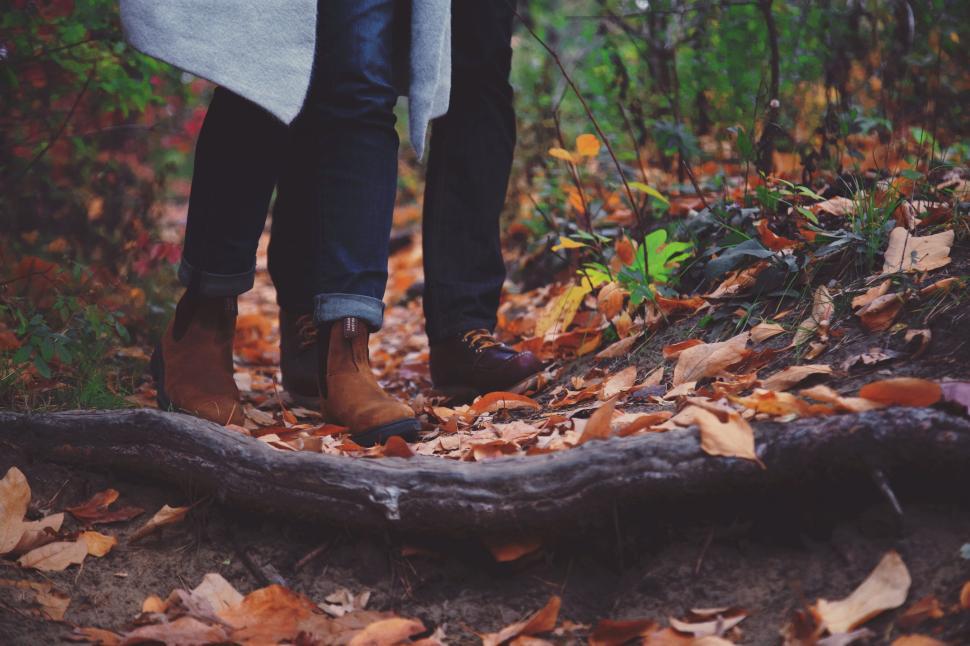 Free Stock Photo of Couple Walking on Fallen Log in Woods | Download ...