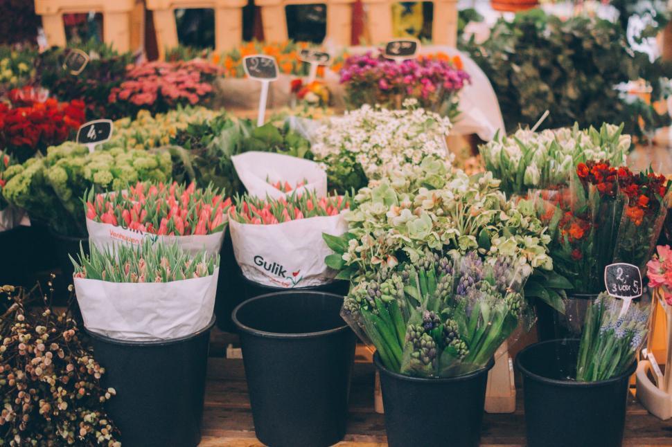 Free Stock Photo of A Bunch of Flowers on a Table | Download Free ...