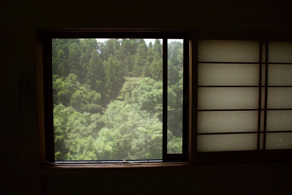 Free Stock Photo of Window Overlooking Forest View | Download Free ...