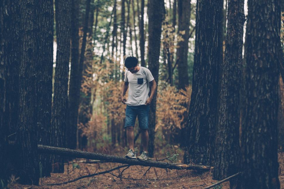Free Stock Photo of Man Standing on Fallen Tree in Forest | Download ...