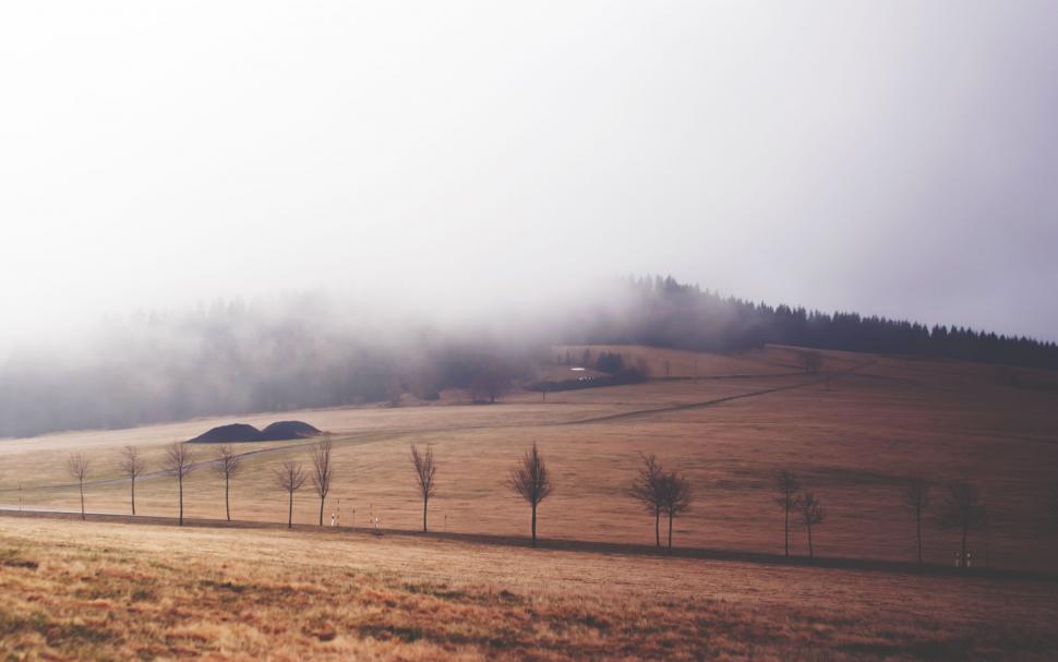 Free Stock Photo of Misty Field With Trees and Hill | Download Free ...