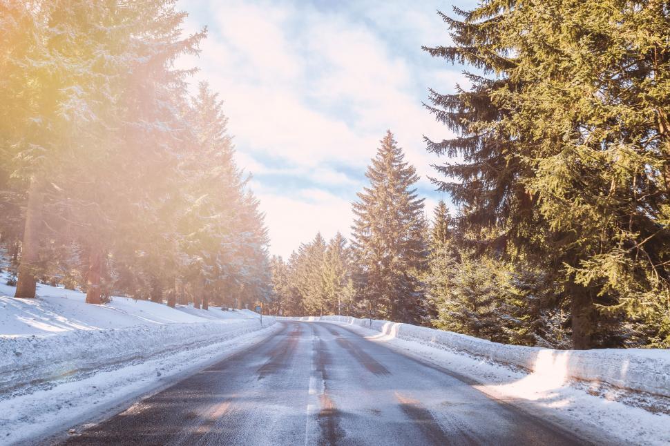 Free Stock Photo of Snow Covered Road in the Middle of a Forest ...