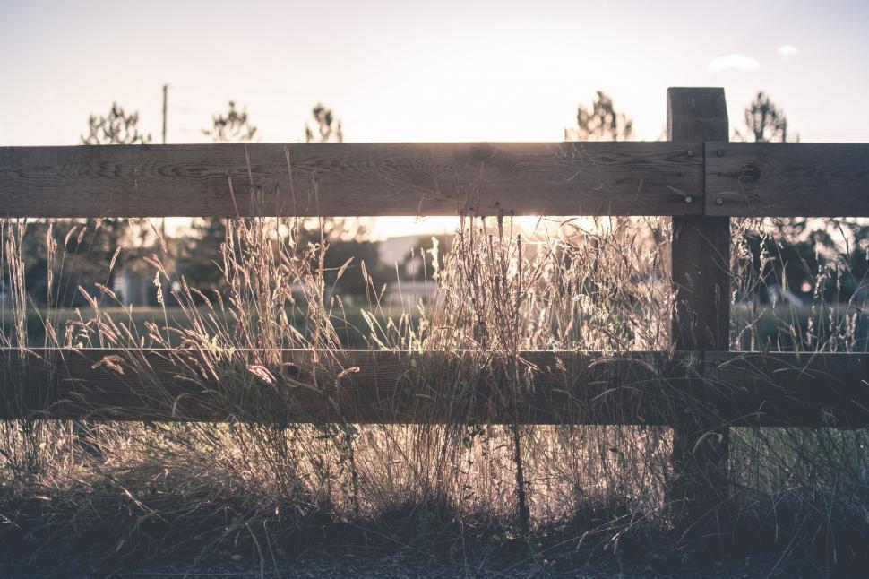 Free Stock Photo of Wooden Fence With Tall Grass Background | Download ...