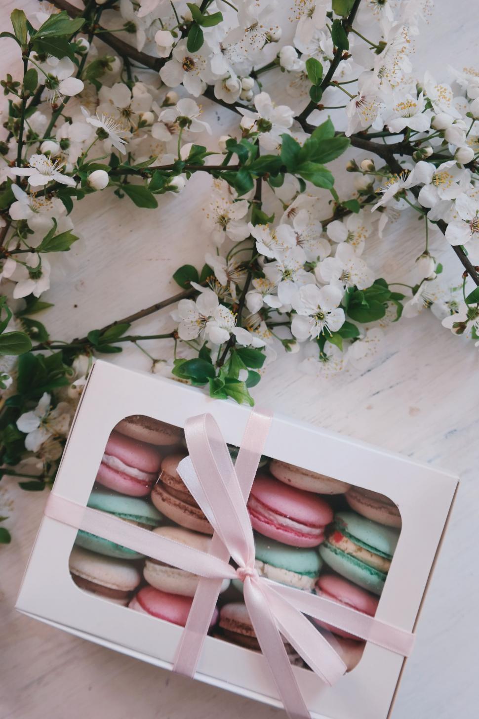Free Stock Photo of Box of Macaroons With Pink Ribbon | Download Free ...