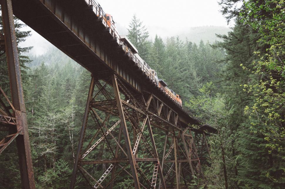 Free Stock Photo of Train Traveling Over Bridge in Forest | Download ...