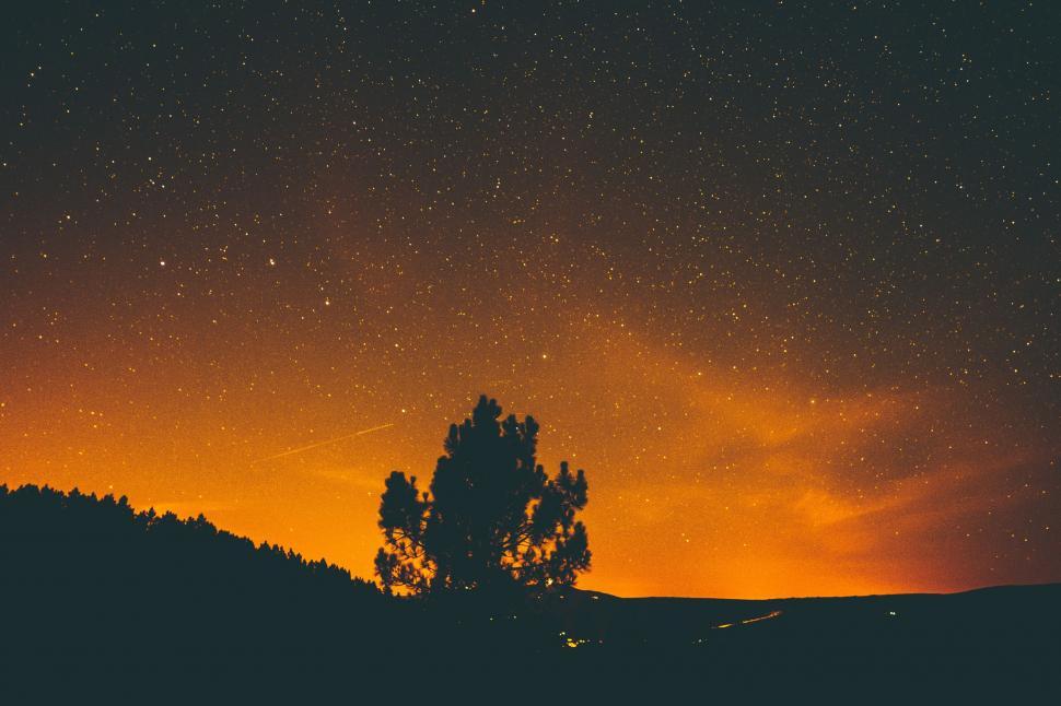 Free Stock Photo of Tree on a Hill Under Night Sky | Download Free ...