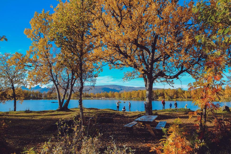 Free Stock Photo of Bench Overlooking Lake Surrounded by Trees ...