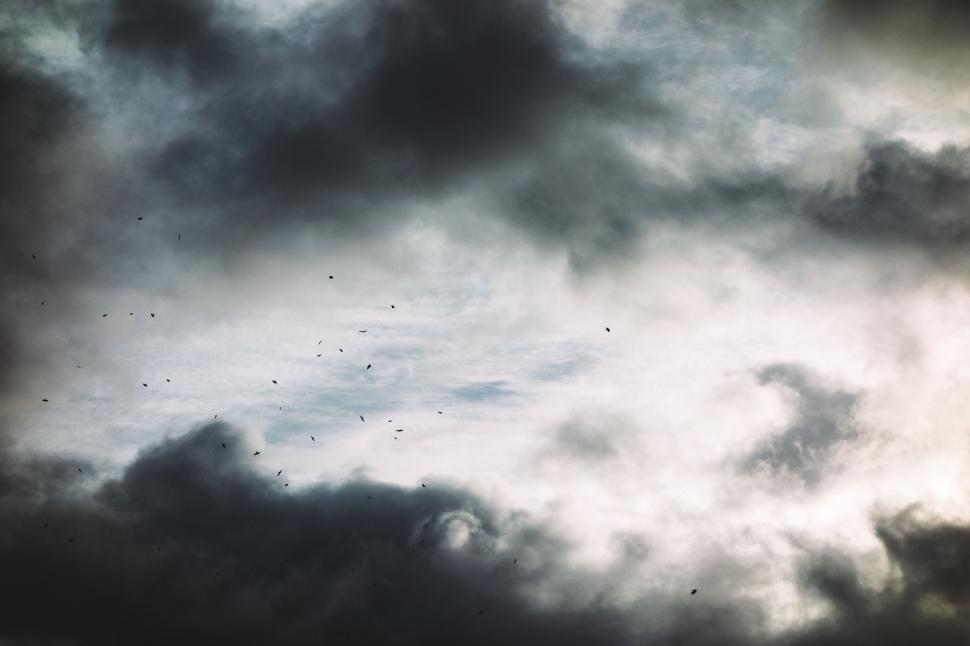 Free Stock Photo of Cloudy Sky Overhead | Download Free Images and Free ...