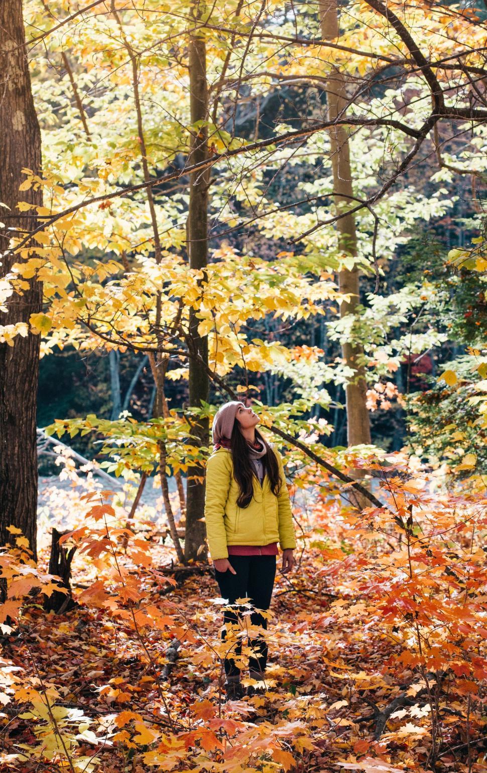 Free Stock Photo of Woman in Yellow Jacket Walking Through Forest ...