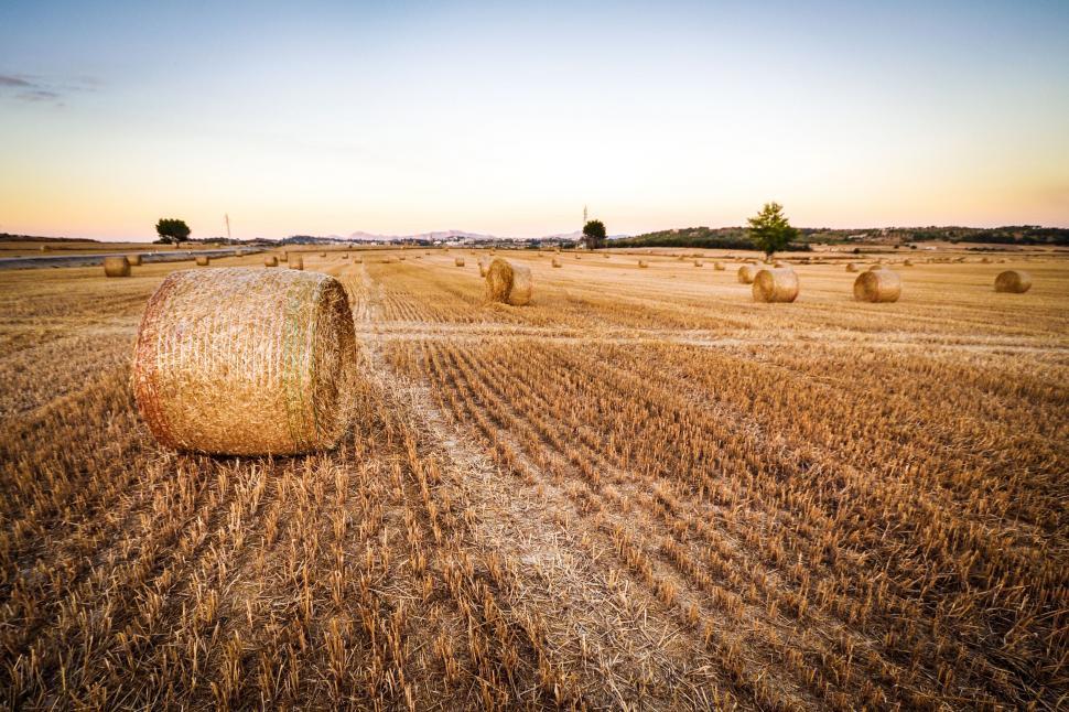 Free Stock Photo of Field With Bales of Hay | Download Free Images and ...