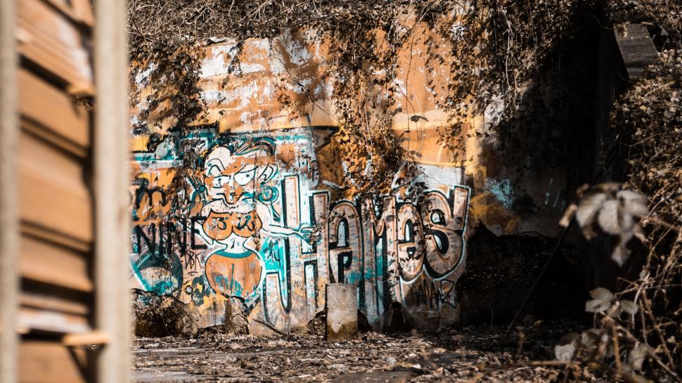 Free Stock Photo of Wall Covered in Graffiti Next to a Building ...