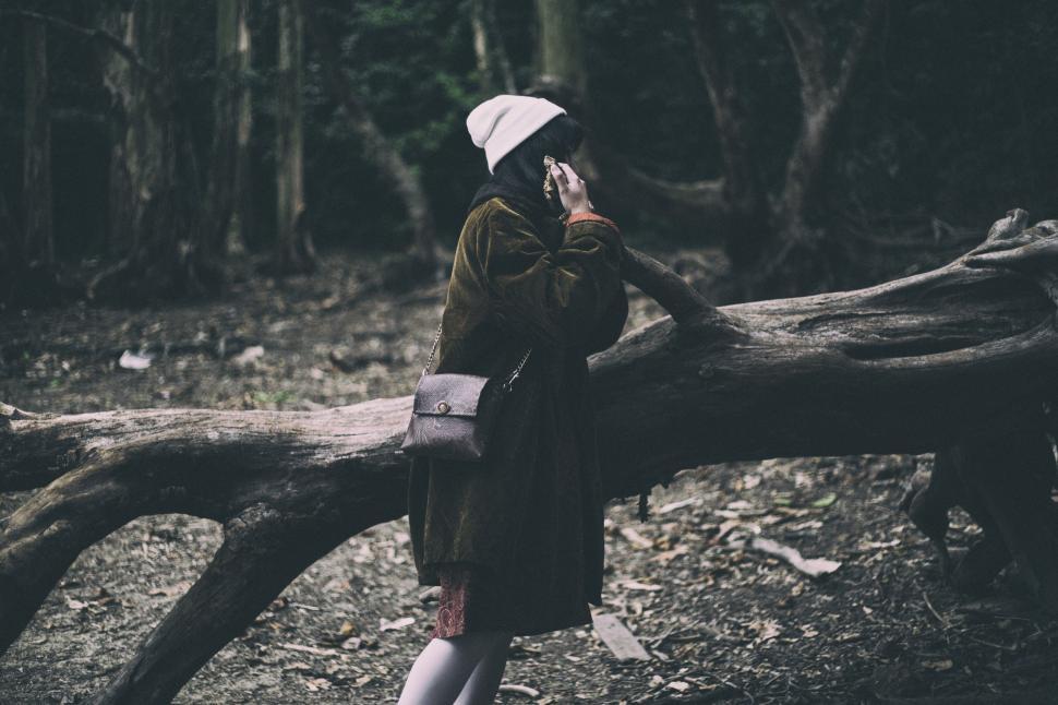Free Stock Photo of Woman Standing Next to Fallen Tree in Forest ...