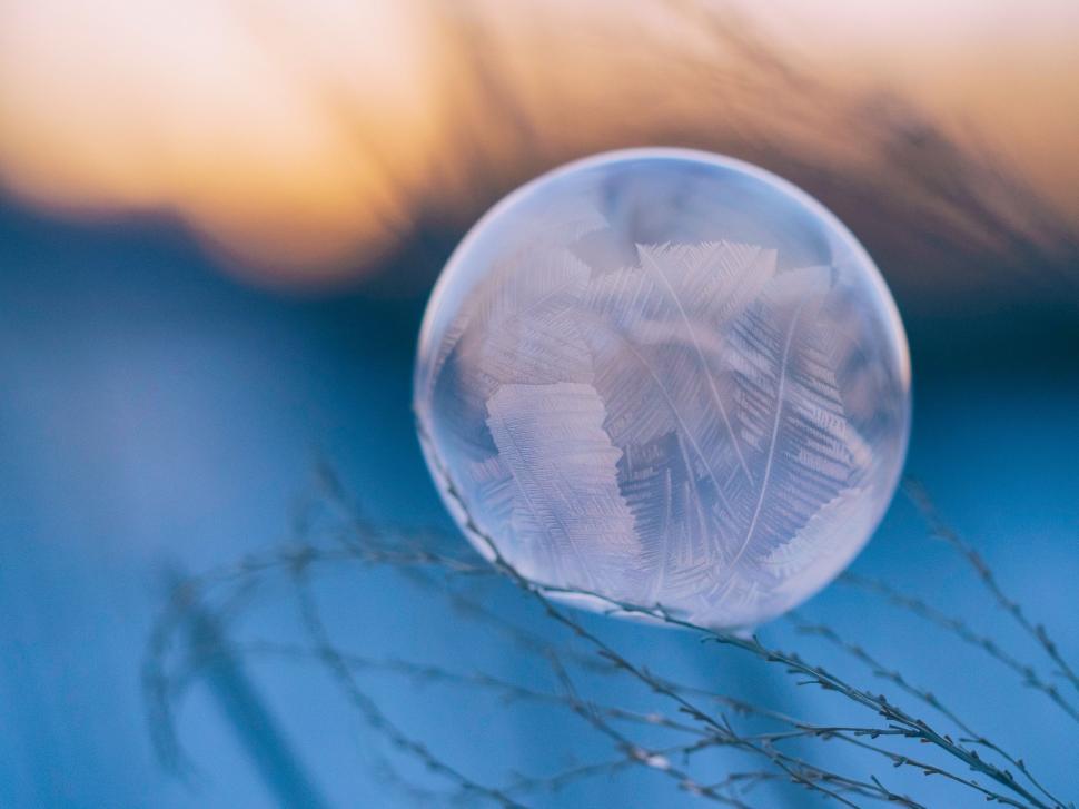 Free Stock Photo of Close Up of Jelly-Like Object With Blurry ...