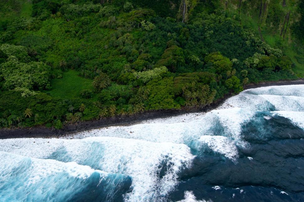Free Stock Photo of Aerial View of the Ocean and Forested Area ...