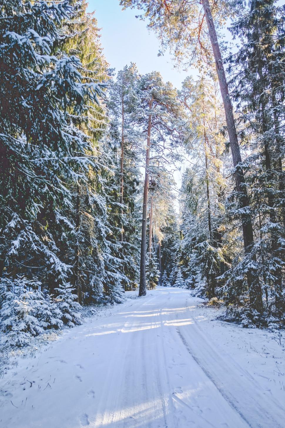 Snowy Forest Road Wallpaper 454,909 Snow Road Stock Photos Free