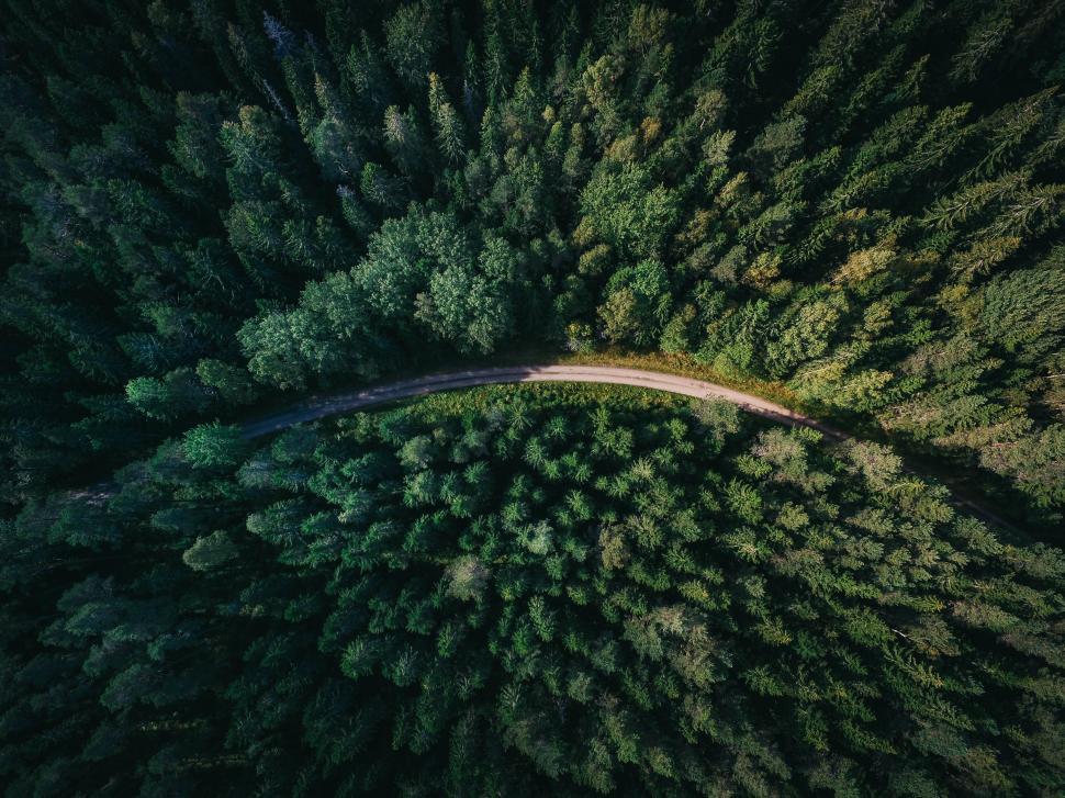 Free Stock Photo of landscape knoll tree forest sky summer grass park ...