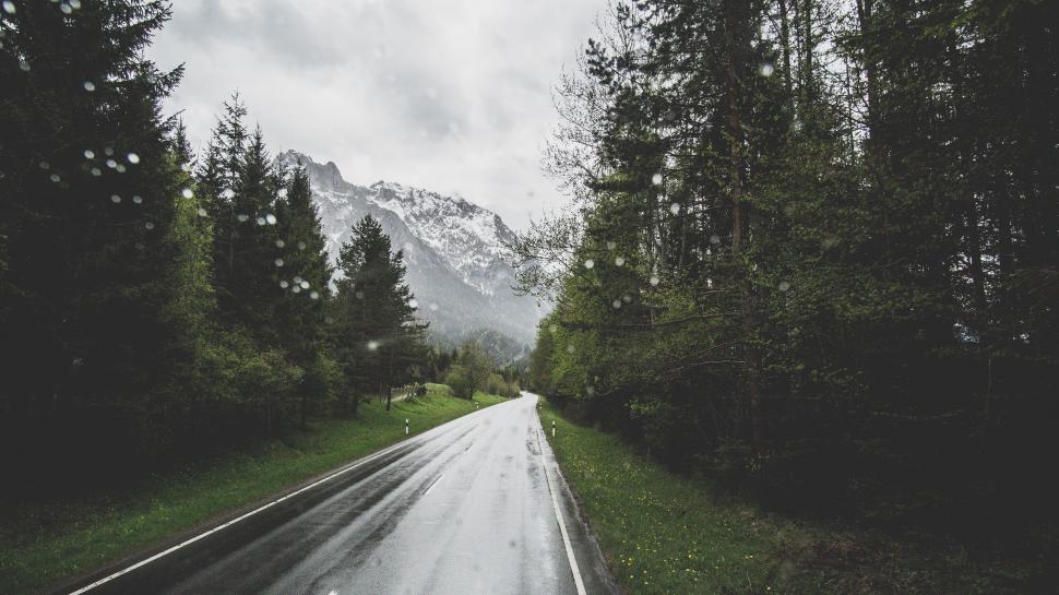 Free Stock Photo of Car Driving Down Road Next to Forest | Download ...