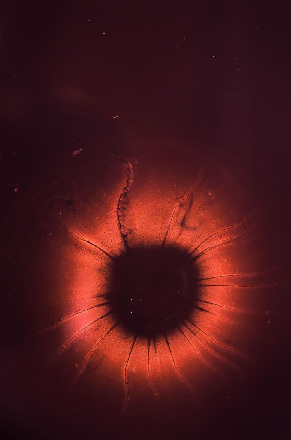 Free Stock Photo of Close-Up of Red Object in Darkness | Download Free ...